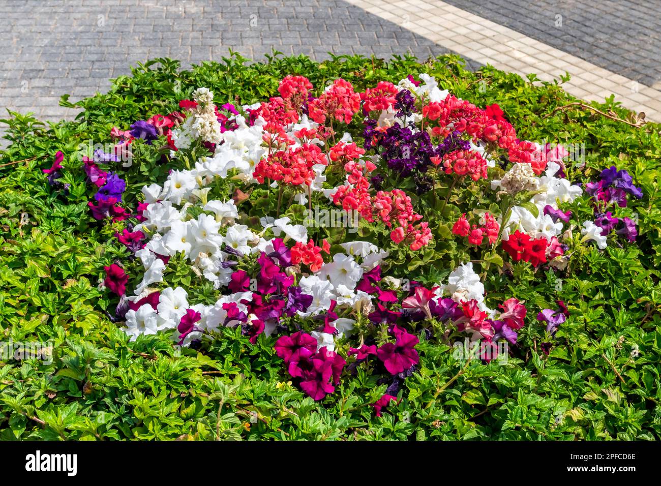 Blooms displays hi-res stock photography and images - Alamy