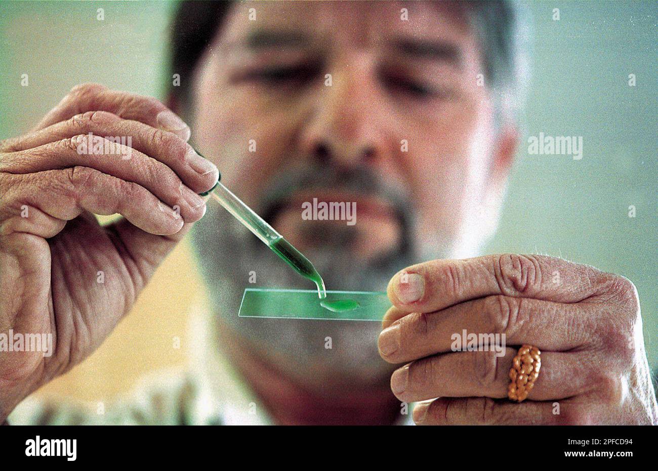 Harold Newman, CEO of Desert Lake Technologies, places phycocyamin, a ...