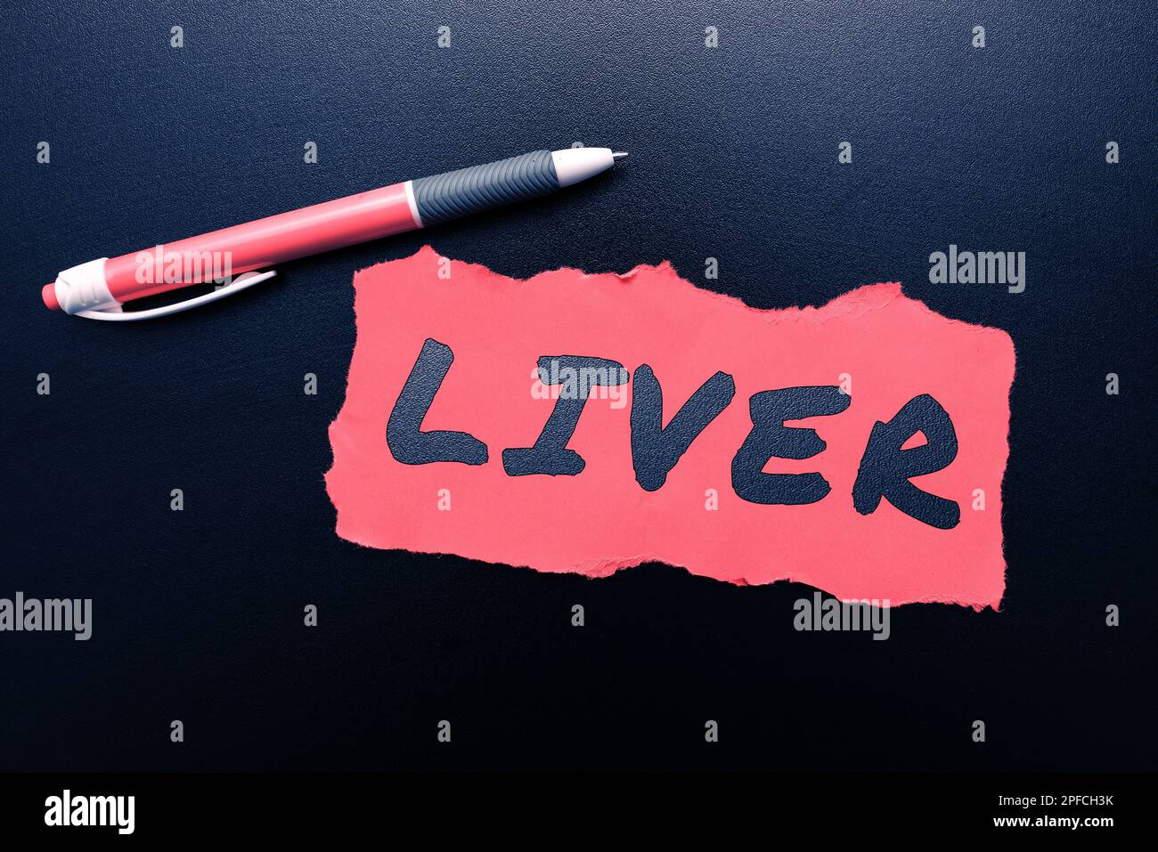 Sign displaying Liver. Business idea Large lobed glandular organ in the ...