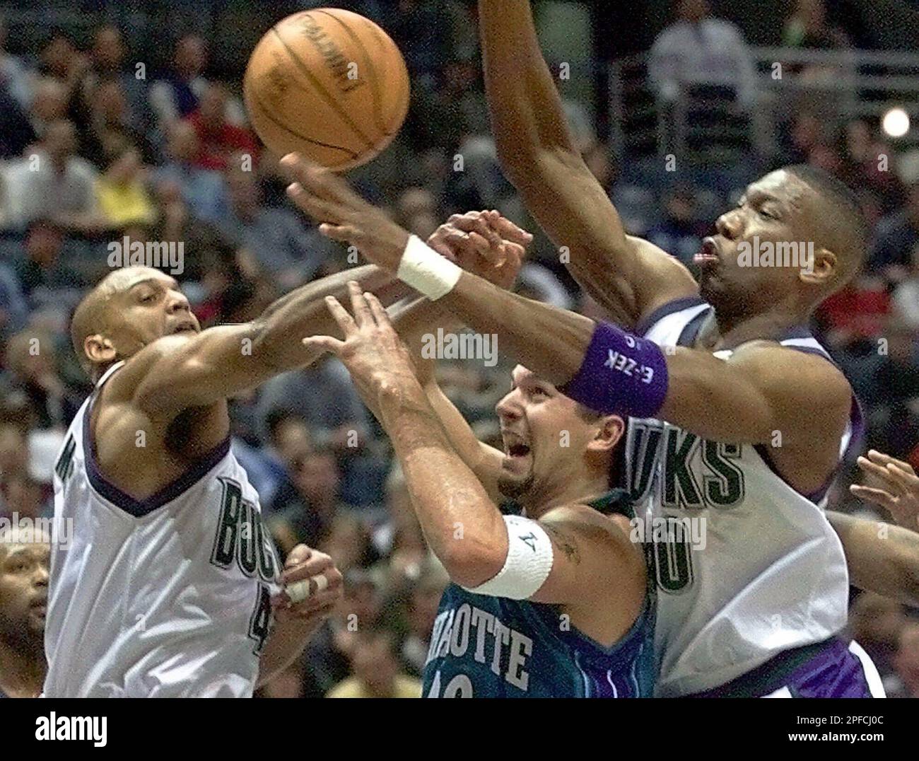 Brad Miller Charlotte Hornets