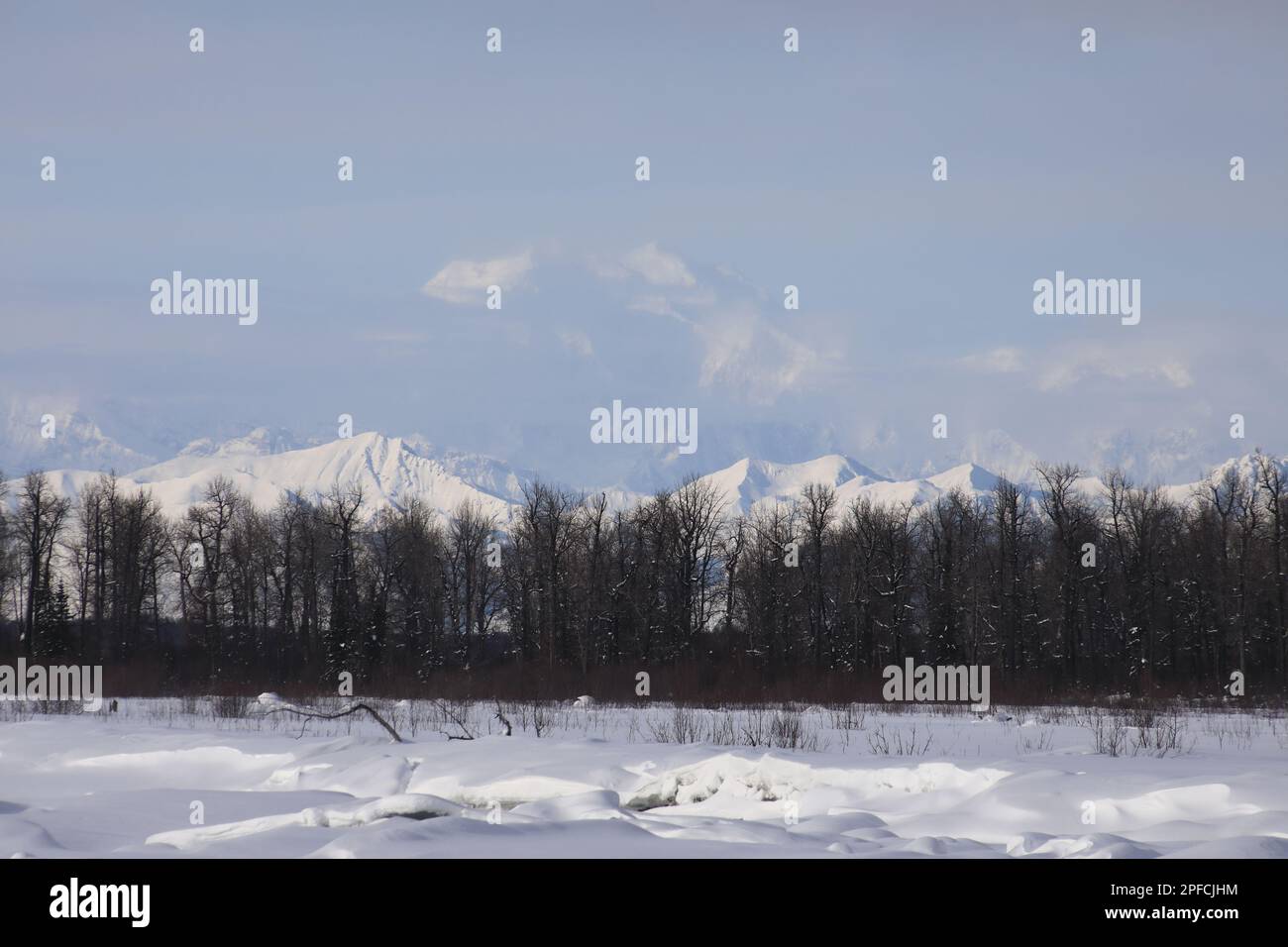 Denali peaks views Stock Photo - Alamy