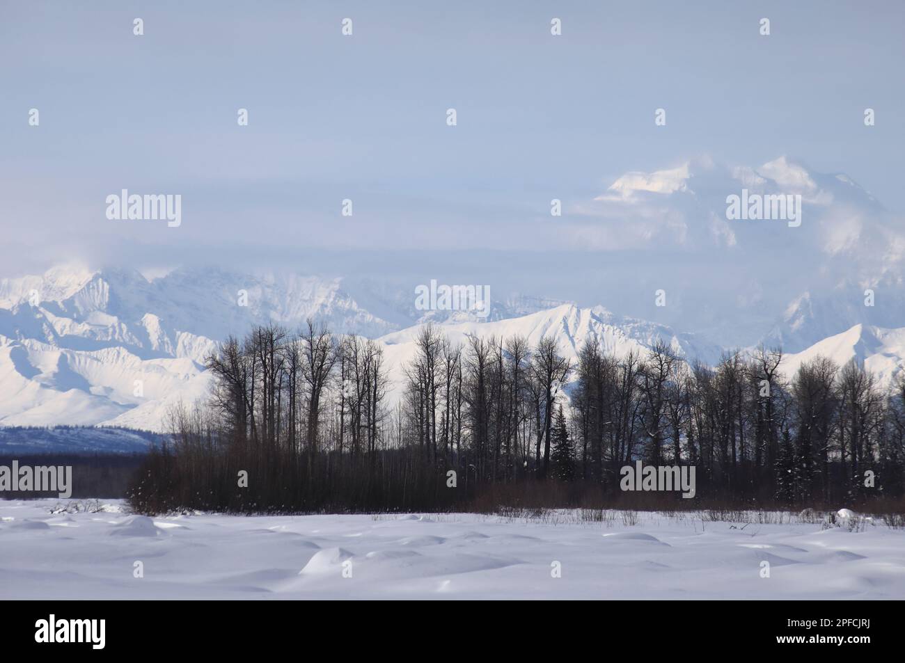 Denali peaks views Stock Photo - Alamy