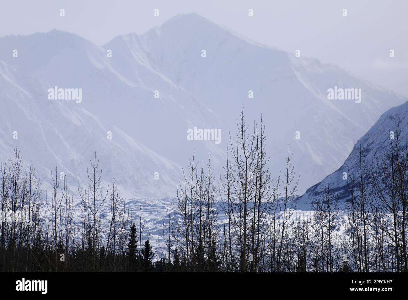 Around Matanuska glacier Stock Photo - Alamy