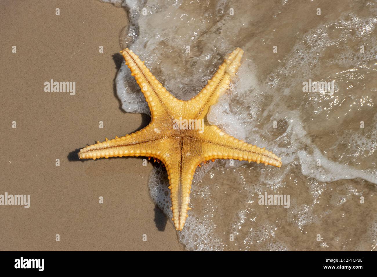 Aerial scenery exotic seashore beach hi-res stock photography and ...