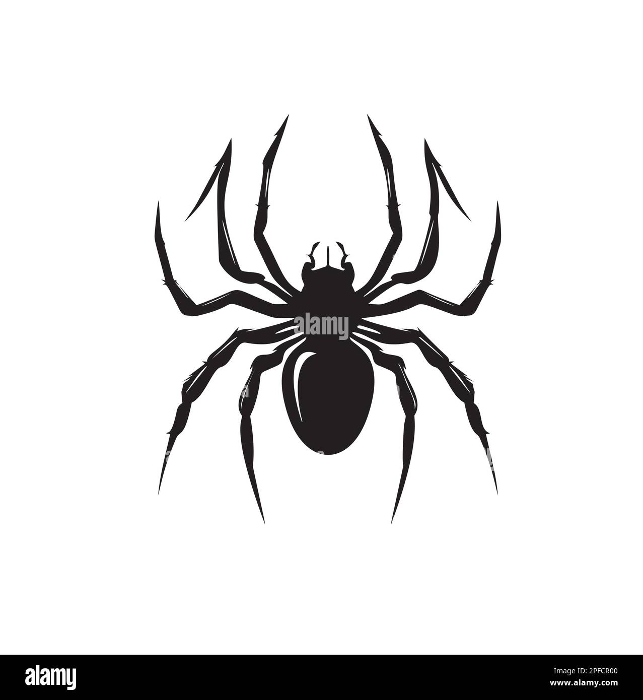 Spider silhouette isolated on white background. Scary with long paws ...
