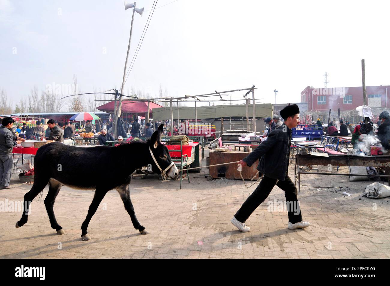 An Uyghur man pulling his donkey at a large local weekly cattle market ...