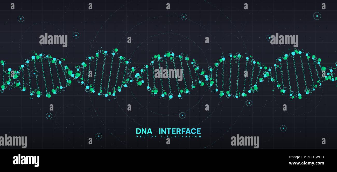 DNA interface concept Stock Vector Image & Art - Alamy