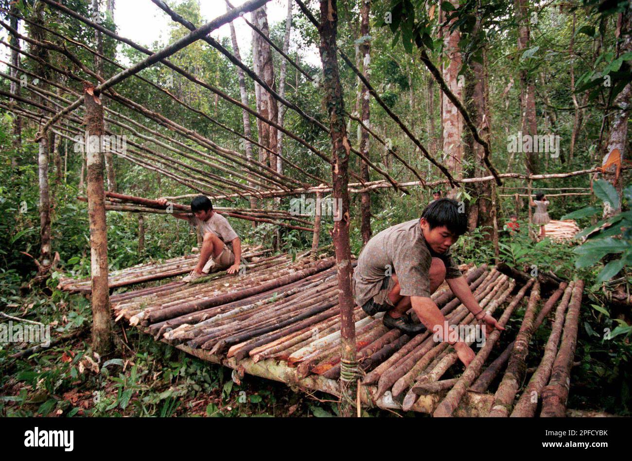 Men of the nomadic Penan tribe set up a temporary settlement in the ...