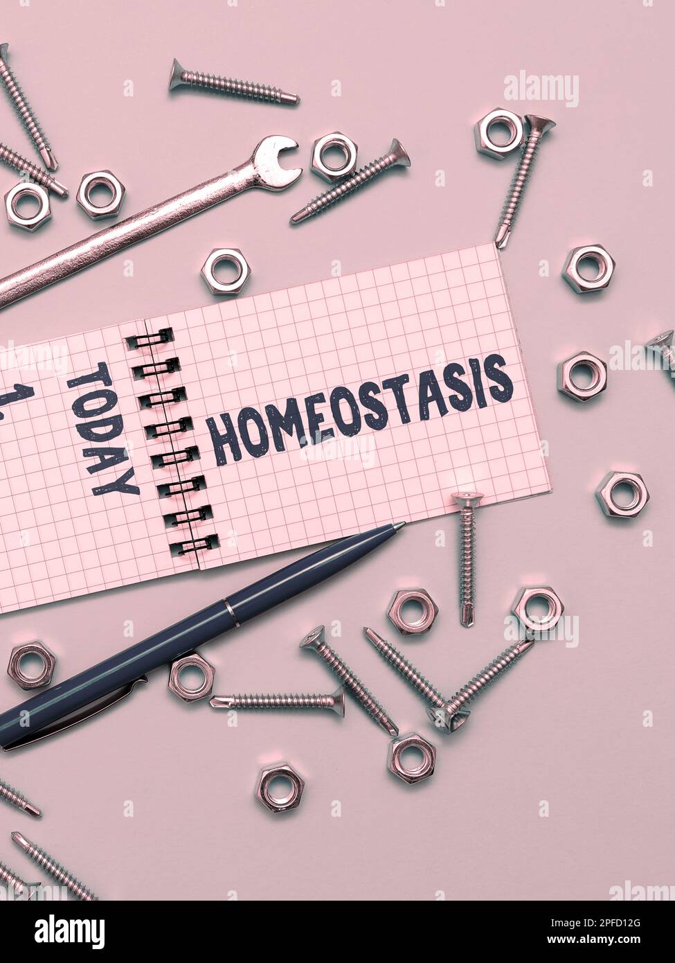 Text sign showing Homeostasis. Conceptual photo the tendency toward a ...