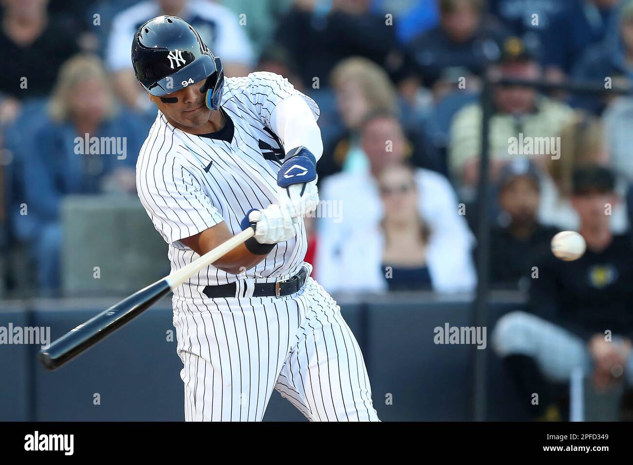 TAMPA, FL - MARCH 16: New York Yankees catcher Carlos Narvaez (94) at ...