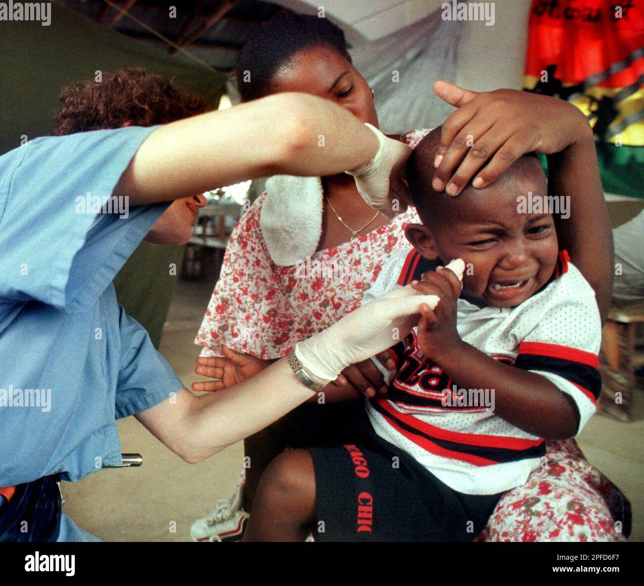 Dr. Janice Desanto checks for a fungus on the head of an apprehensive ...