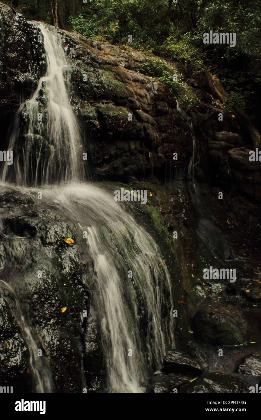 beautiful vattakanal waterfall and levinge stream, palani mountain ...
