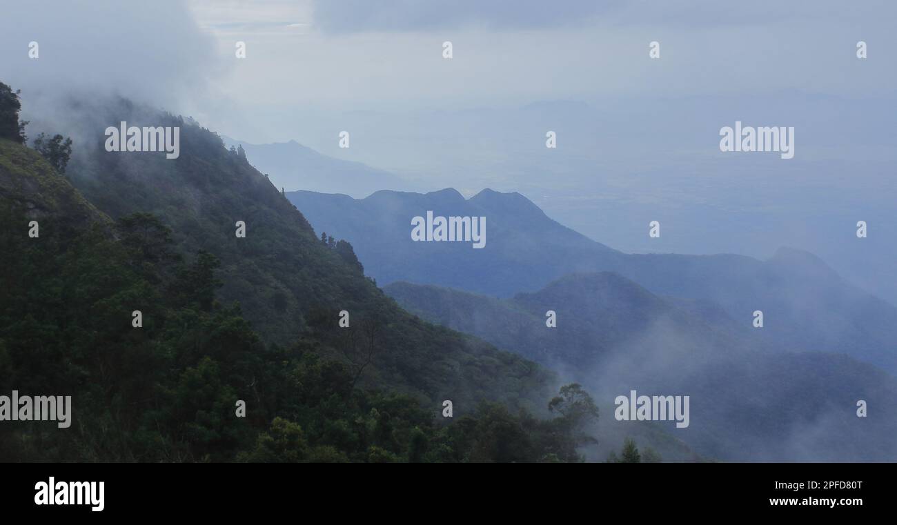 scenic landscape, beautiful view of palani hills (part of western ghats ...
