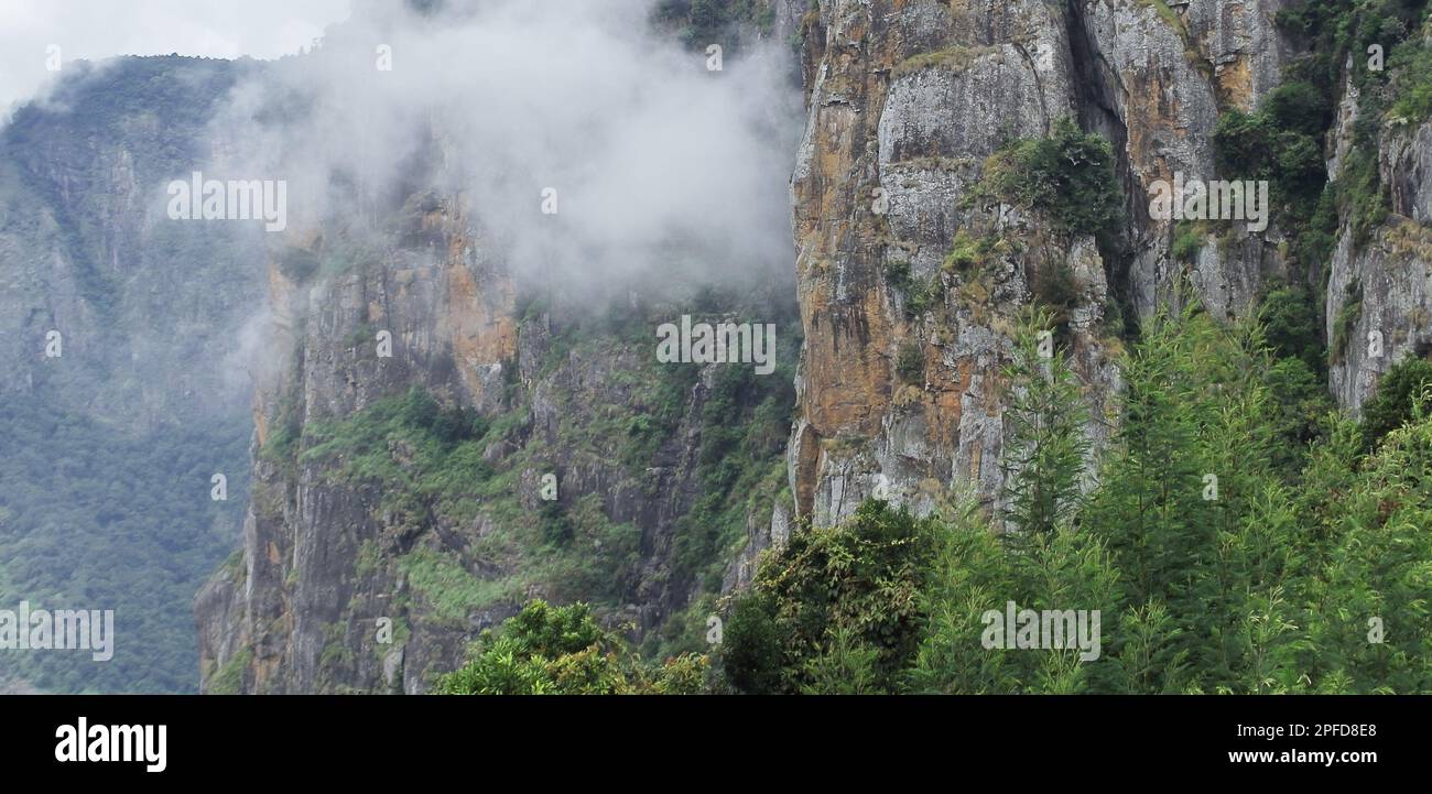 scenic landscape, beautiful view of palani hills (part of western ghats ...