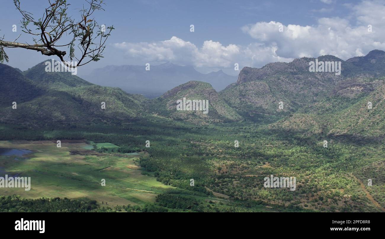 scenic landscape, beautiful view of palani hills (part of western ghats ...