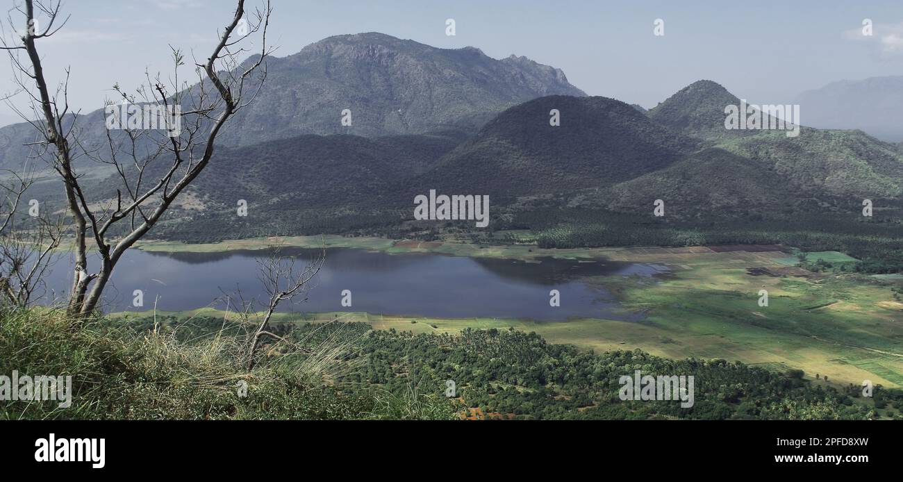 scenic landscape, beautiful view of palani hills (part of western ghats ...