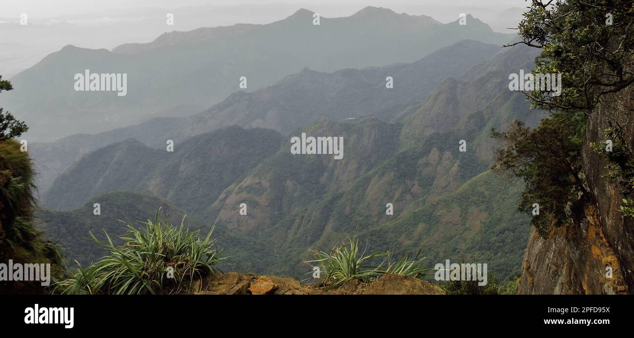 scenic landscape, beautiful view of palani hills (part of western ghats ...