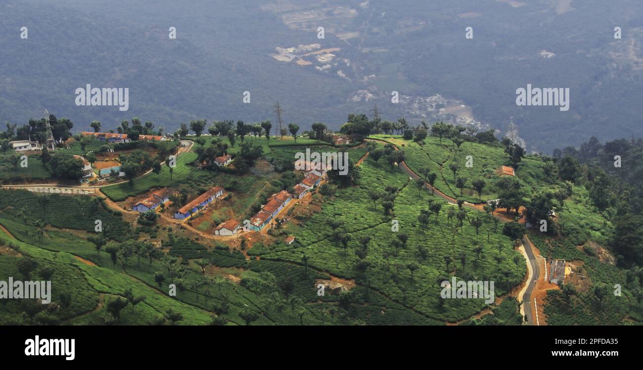 scenic landscape of nilgiri mountains foothills and green tea ...