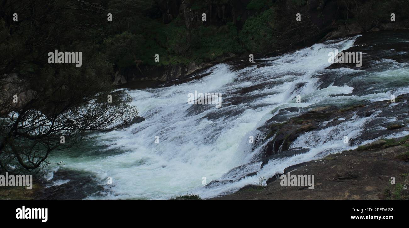 scenic view of pykara waterfall surrounded by lush green forest on the ...