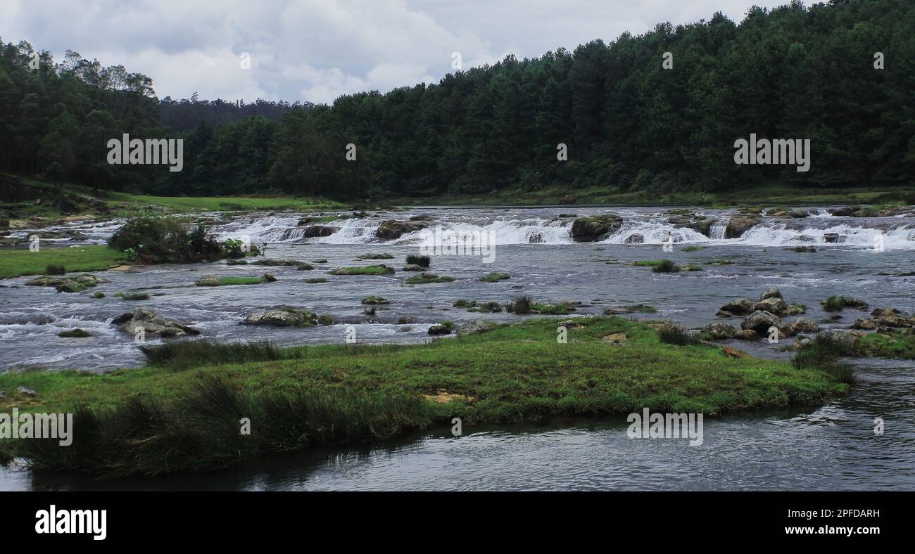 scenic view of pykara waterfall surrounded by lush green forest on the ...