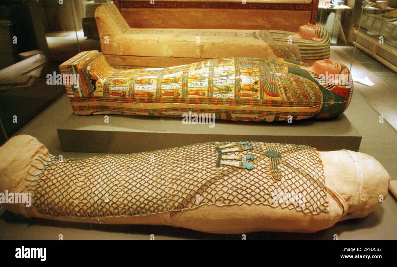 Three mummies are shown on display at the Egyptian Funerary Arts ...