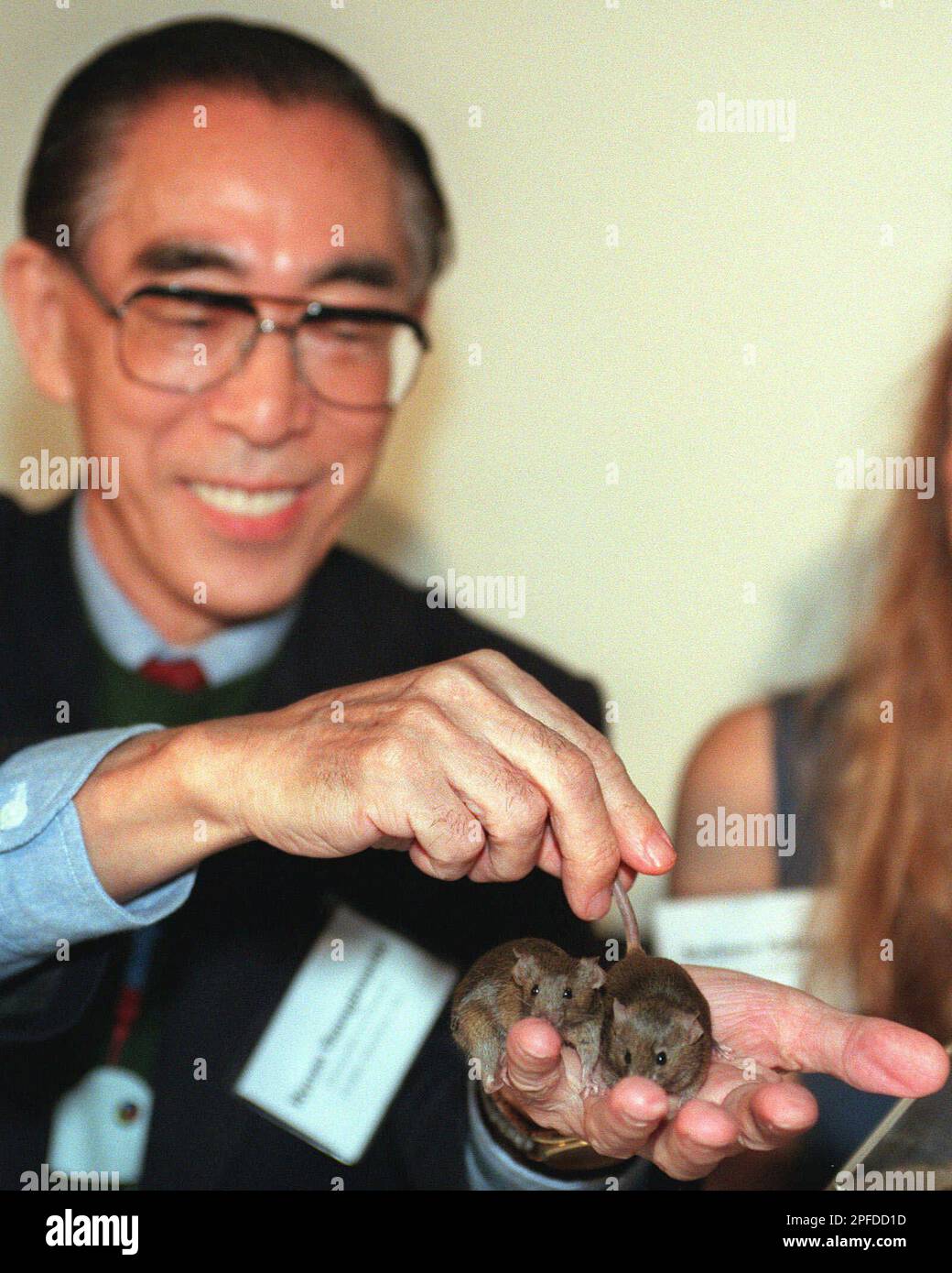 Dr. Ryuzo Yanagimachi of the Univeristy of Hawaii displays genetically ...