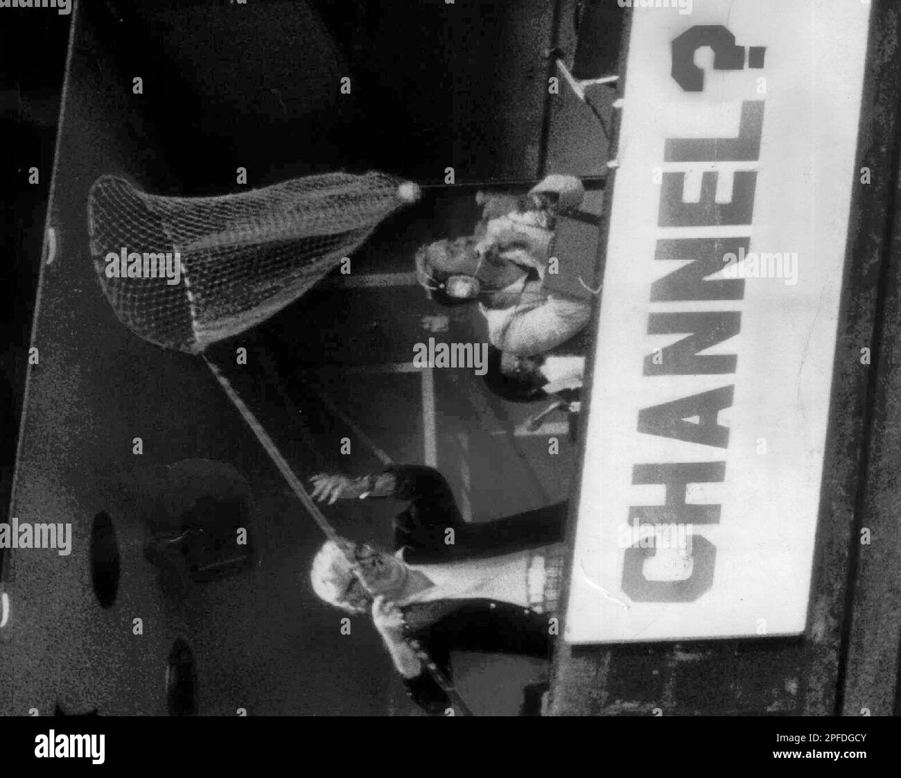 Harry Caray catches a foul ball with a net from the broadcast booth ...