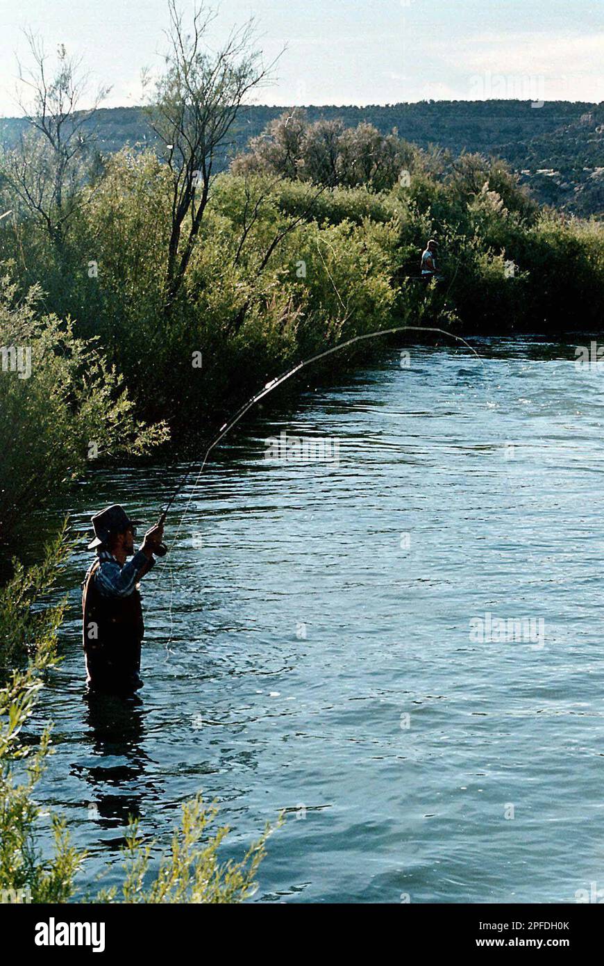 Ron Armstrong, of Aztec, N.M., begins a backcast in this file photo ...