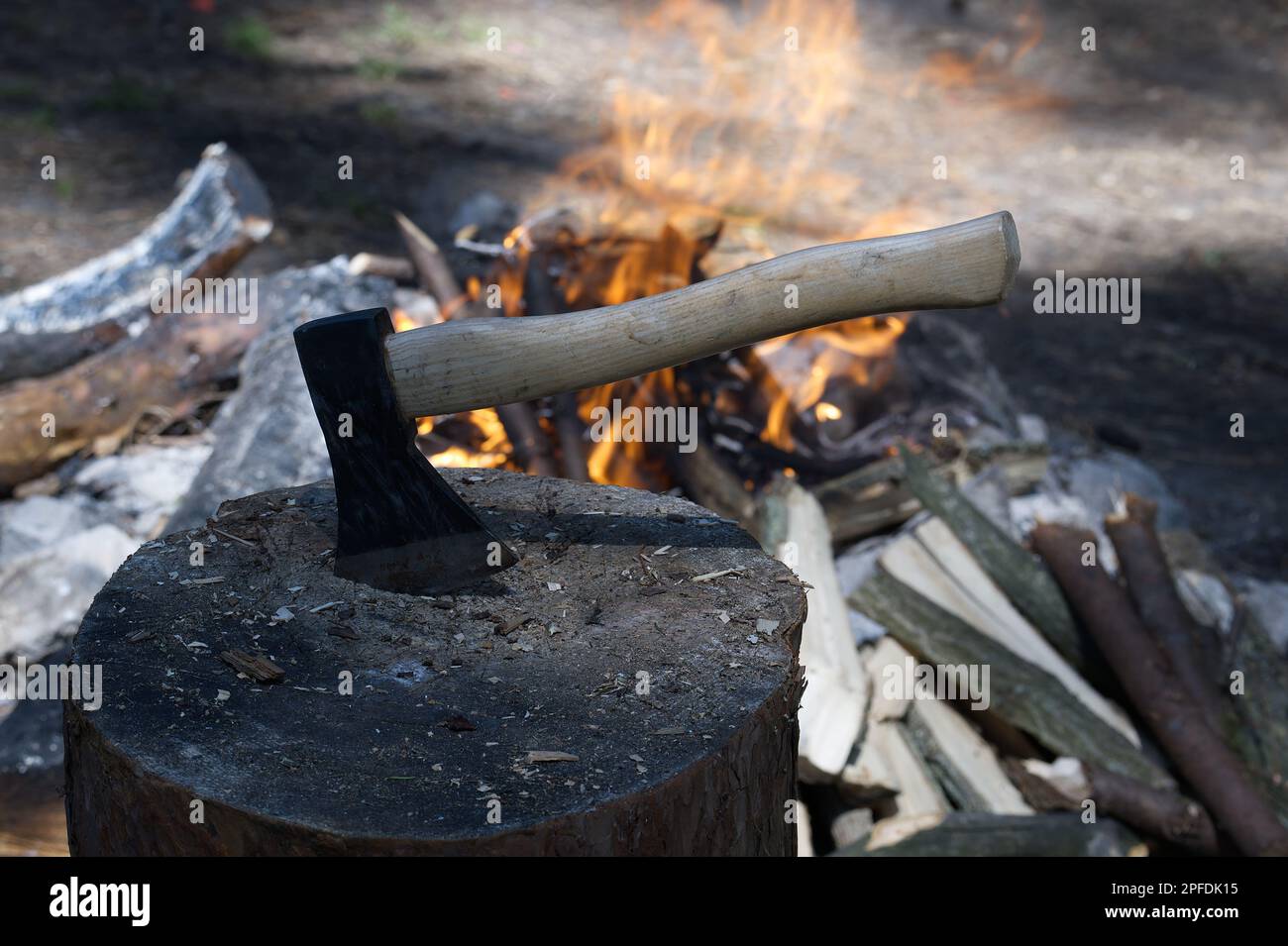 Camp fire in a forest with chopper lodged in a log of wood in the ...