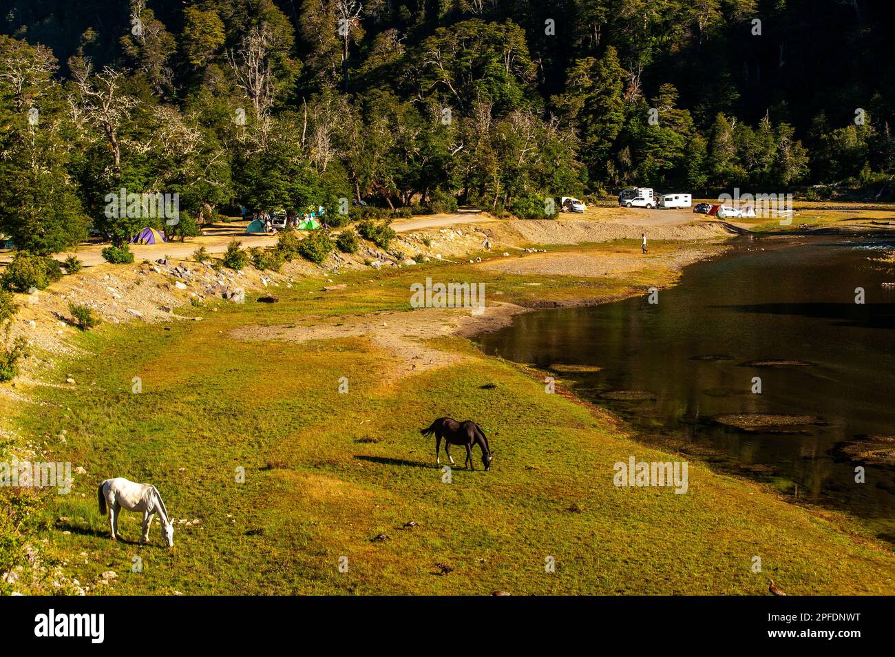 Camping on the shores of Pichi Traful river, on the shores of Pichi ...