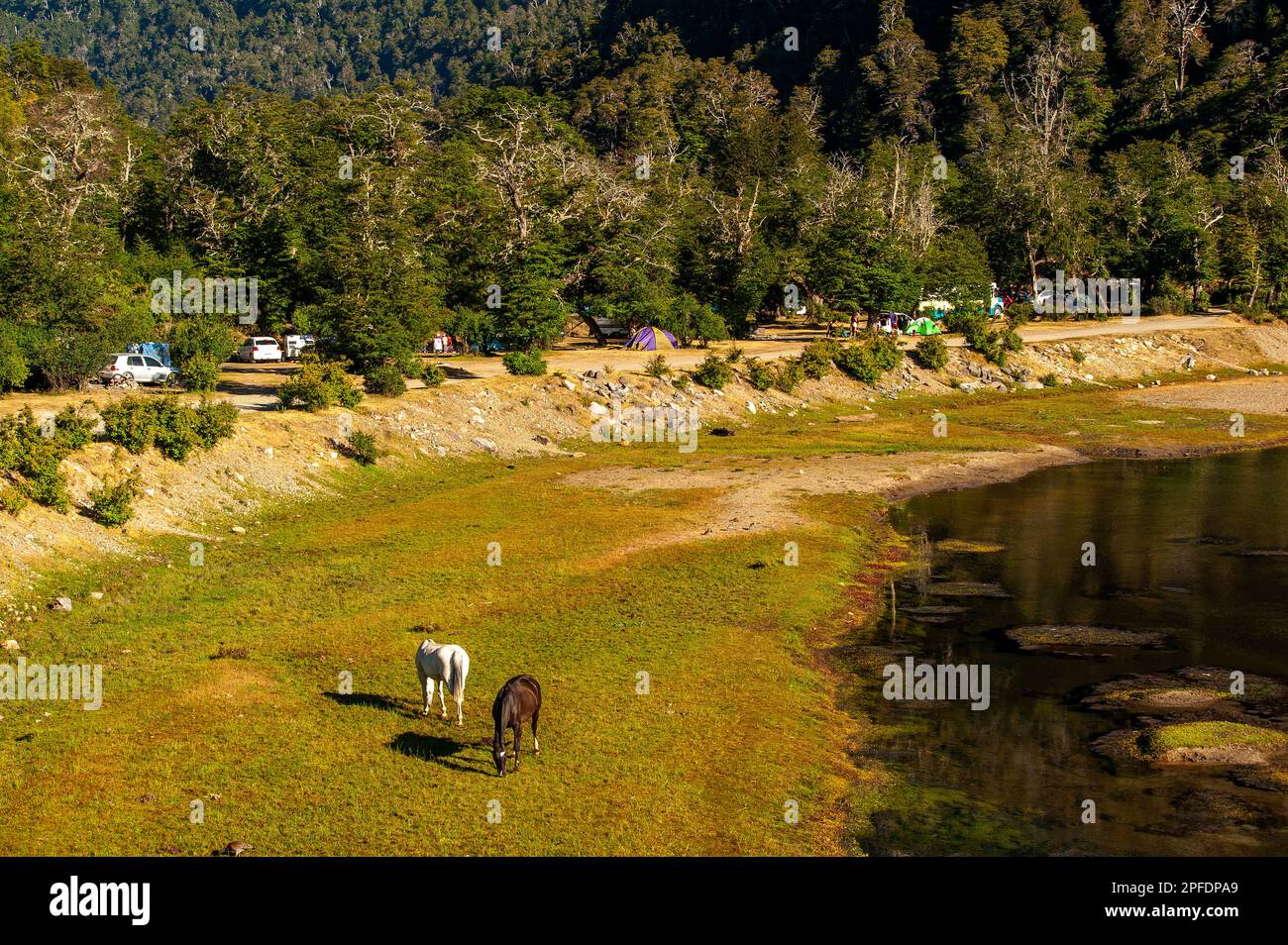 Camping on the shores of Pichi Traful river, on the shores of Pichi ...