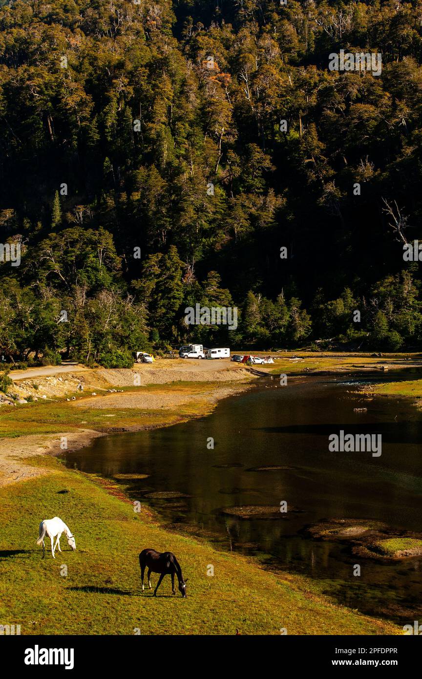 Camping on the shores of Pichi Traful river, on the shores of Pichi ...