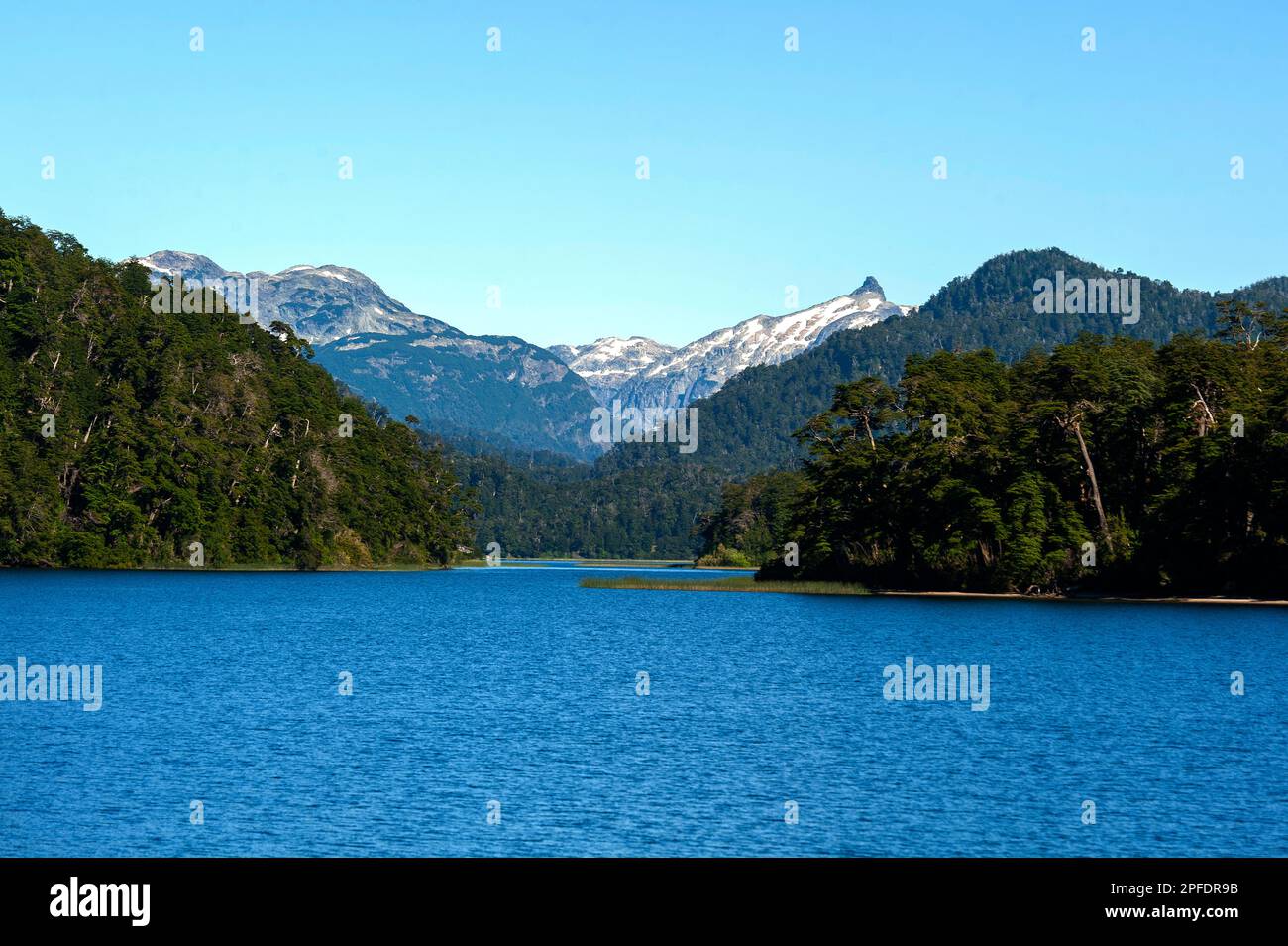 Correntoso Lake as seen from Camping 7 Lagos, Ruta de Los Siete Lagos ...