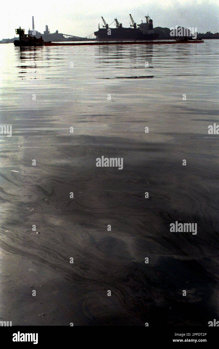 Bunker fuel leaks into Humboldt Bay from the 639-foot Panamanian ...