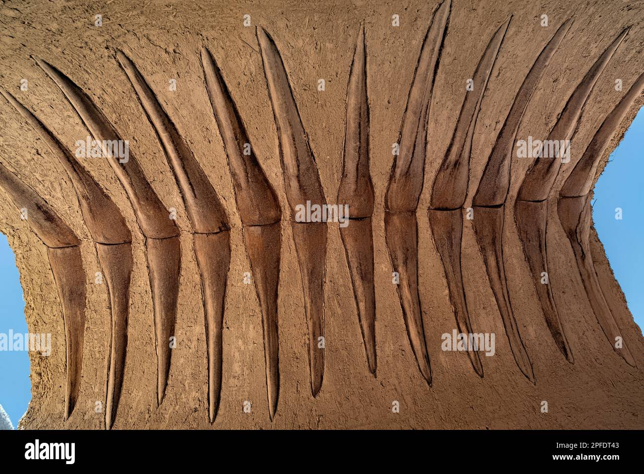 Date palm leaves midribs used for building in the old village of Harat ...