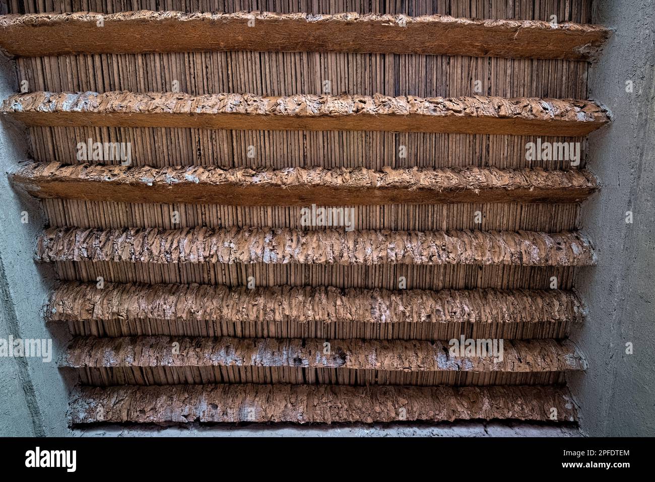 Date palm leaves midribs used for building in the old village of Harat ...