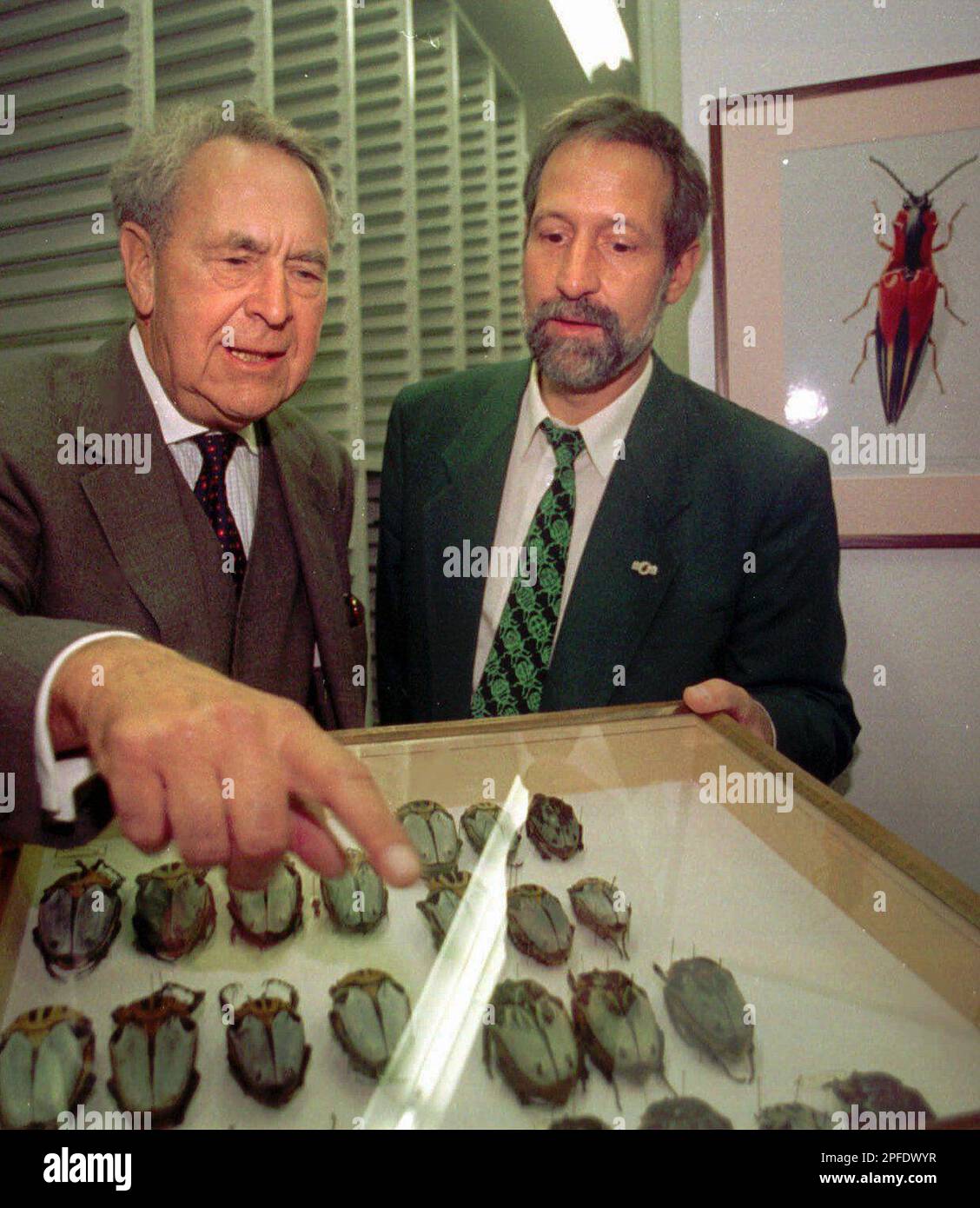 Herbert Frey and Michel Brancucchi, Vice-director of the museum in Basel present the beatle ...