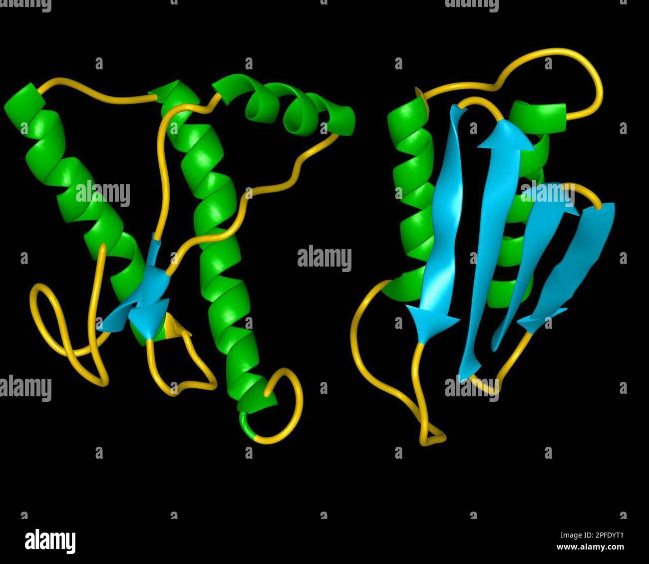 On the left side of this illustration is a computer-generated image of ...
