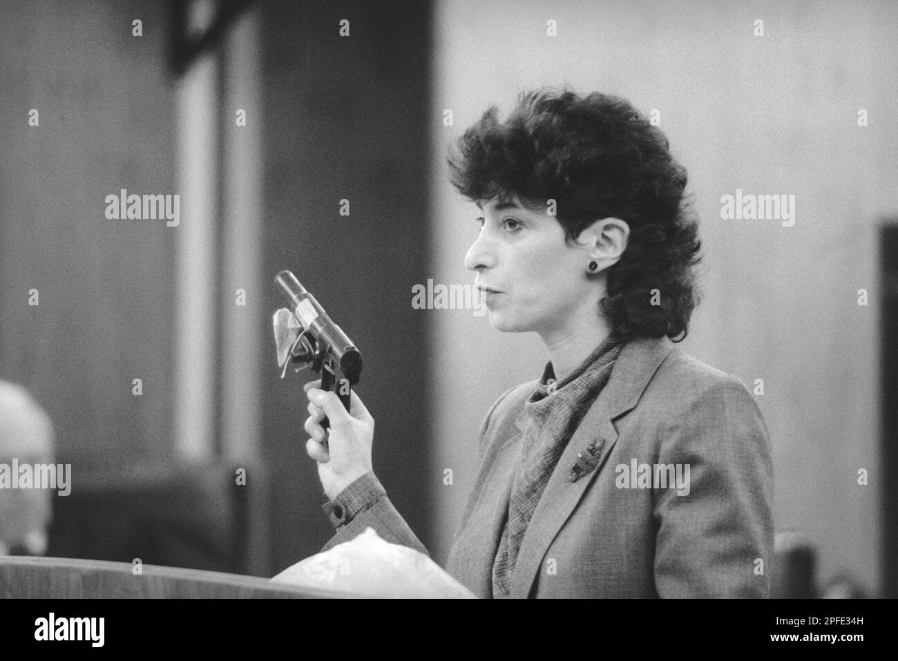 Susan Rutberg, defense attorney for former fugitive lawyer Stephen ...