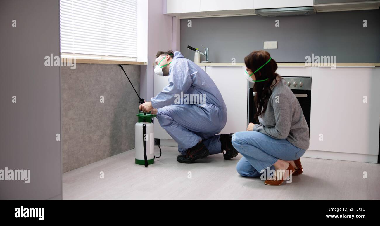 Woman Looking At Exterminator Worker Spraying Insecticide Chemical For ...