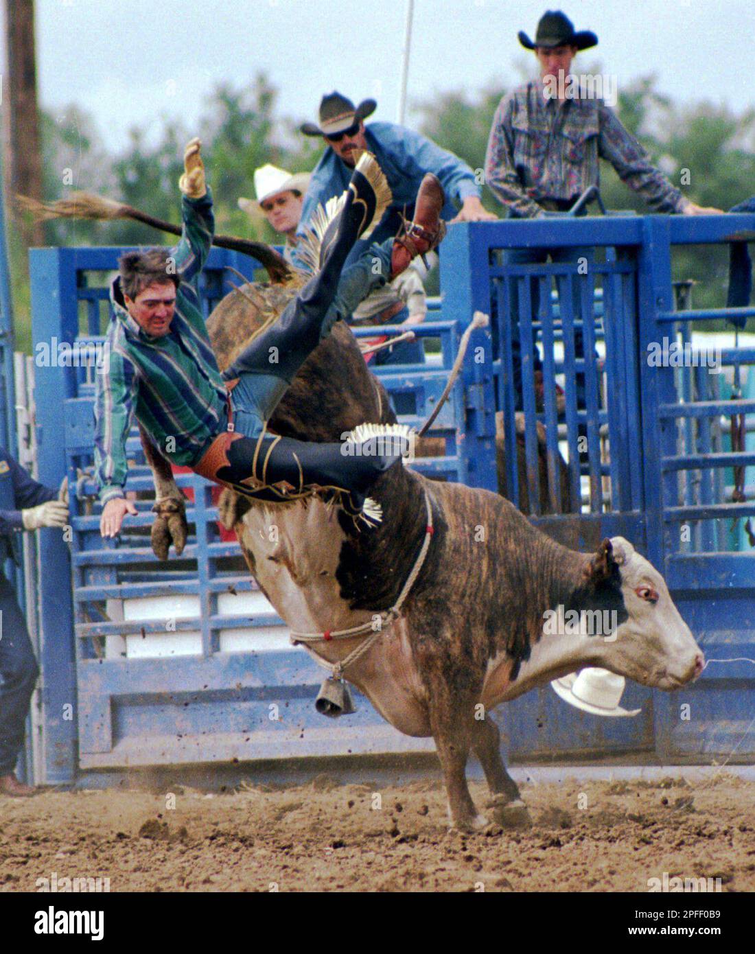 Rodney Hale, of Santa Ynez, Calif., makes a quick exit from the bull ...
