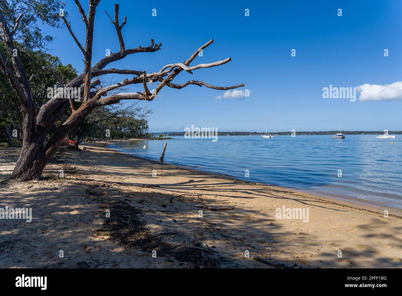 Macleay island hi-res stock photography and images - Alamy