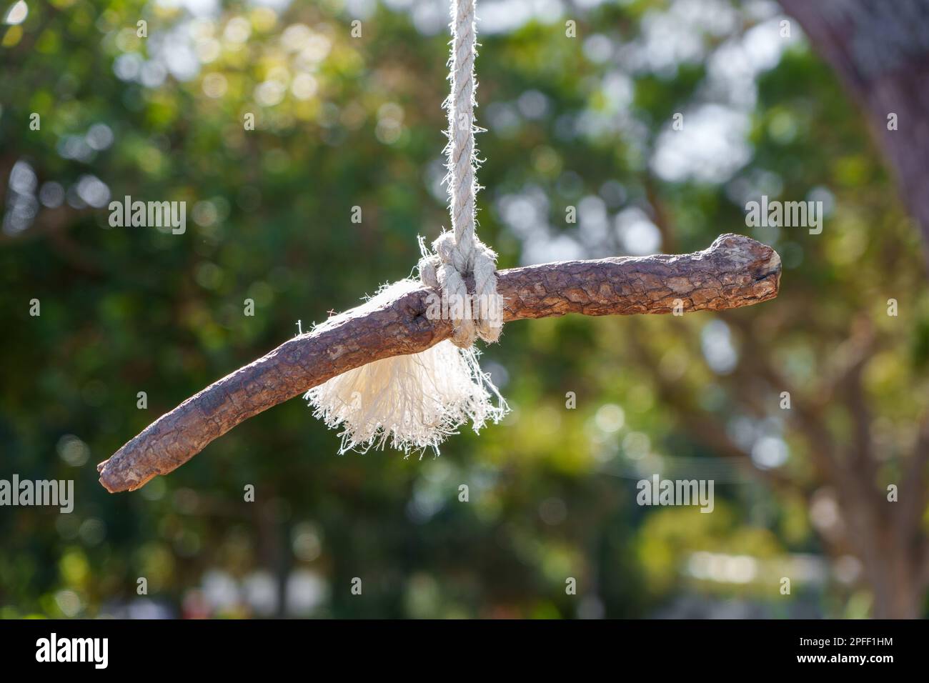 Close-up view of a stick tied to the end of a rope swing with blurred ...