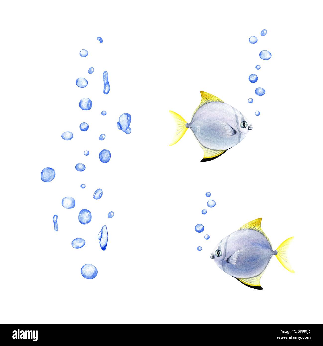Water bubbles and exotic silver moony fishes composition. Watercolor ...