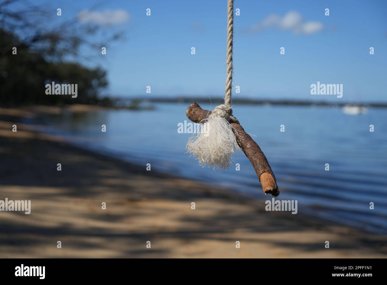 Rope Swing Island at Sandra Miles blog