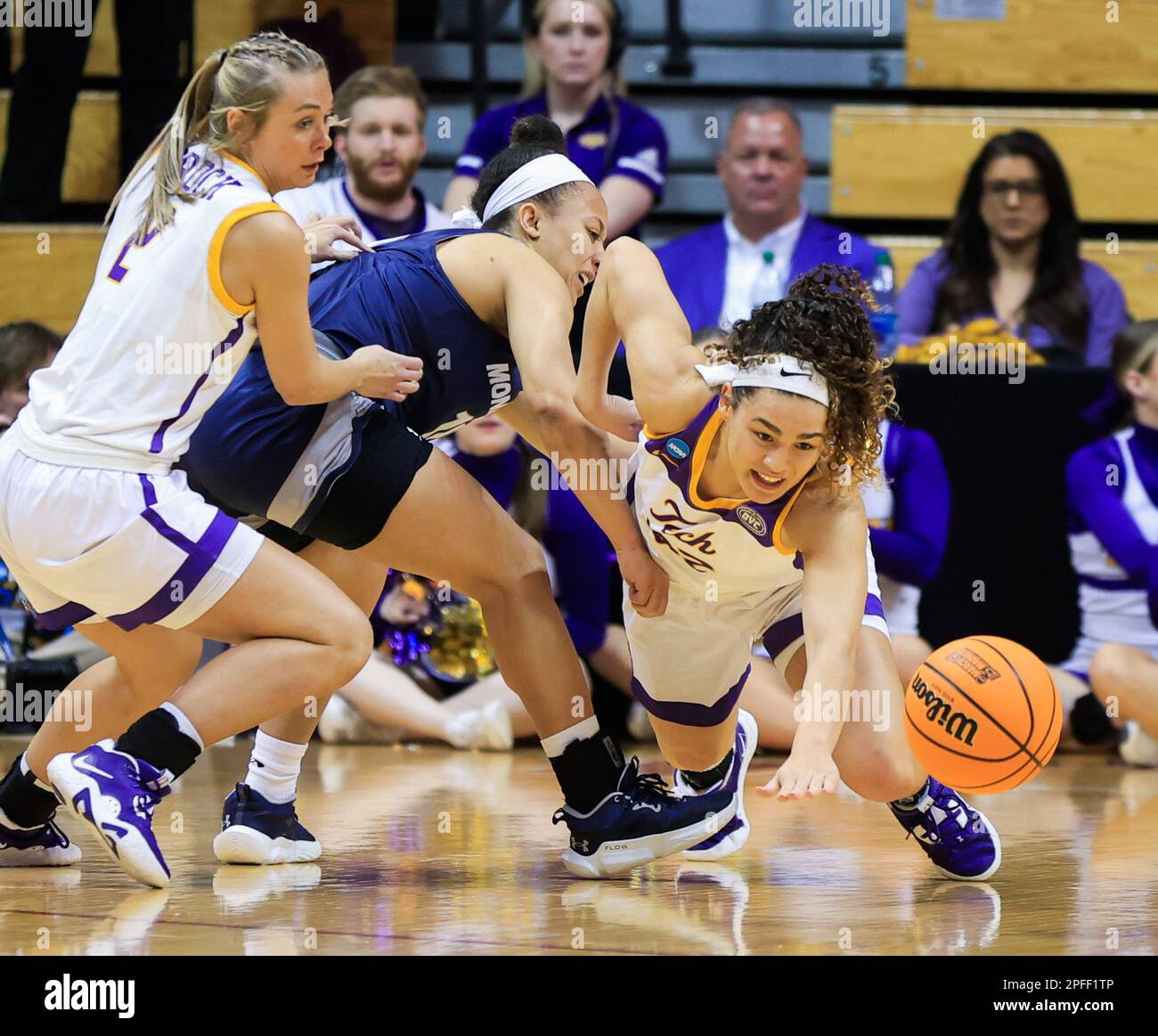 Peyton carter hi-res stock photography and images - Alamy