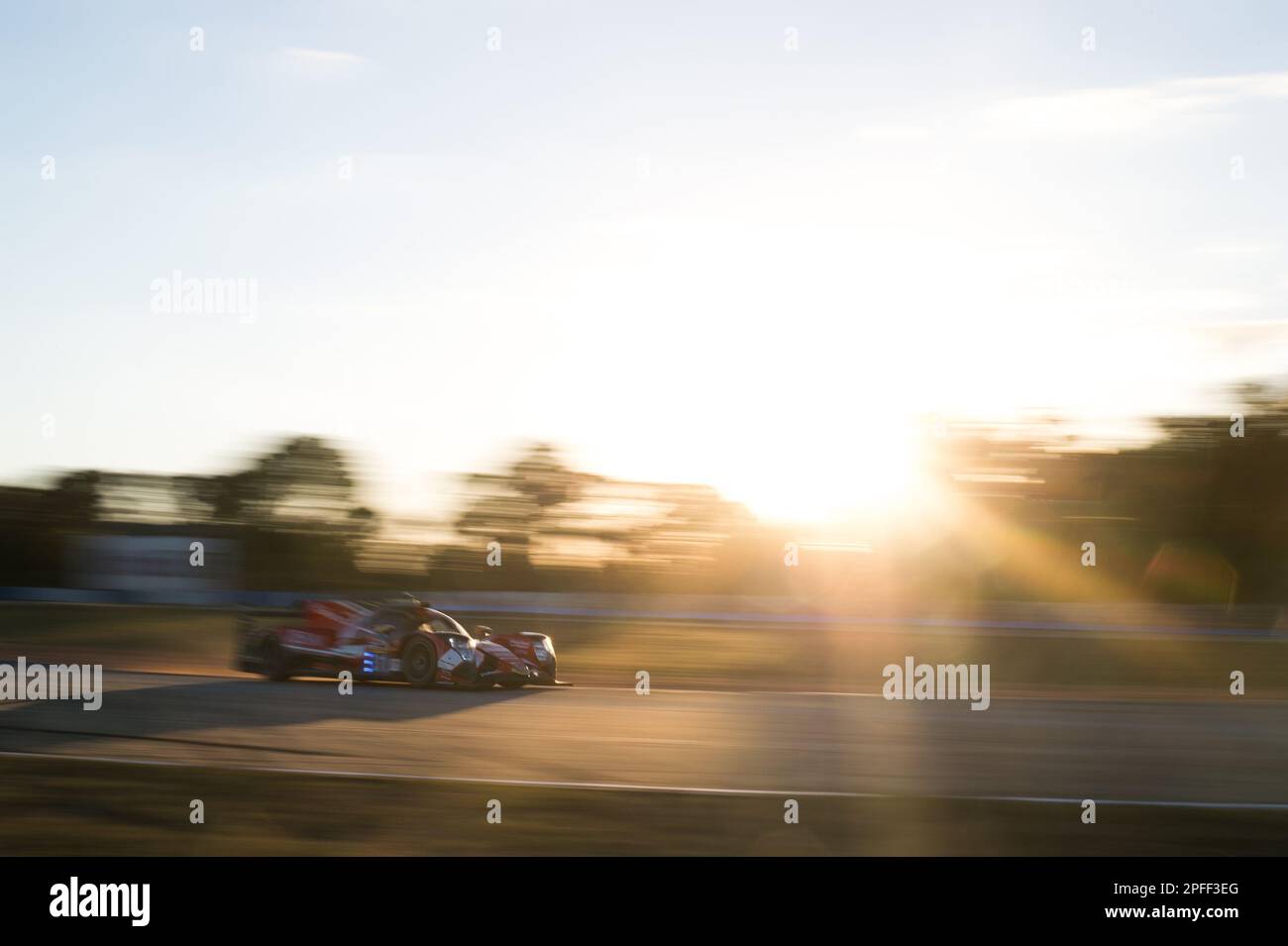 Sebring, 17/03/2023, 31 GELAEL Sean (idn), HABSBURG-LOTHRINGEN ...