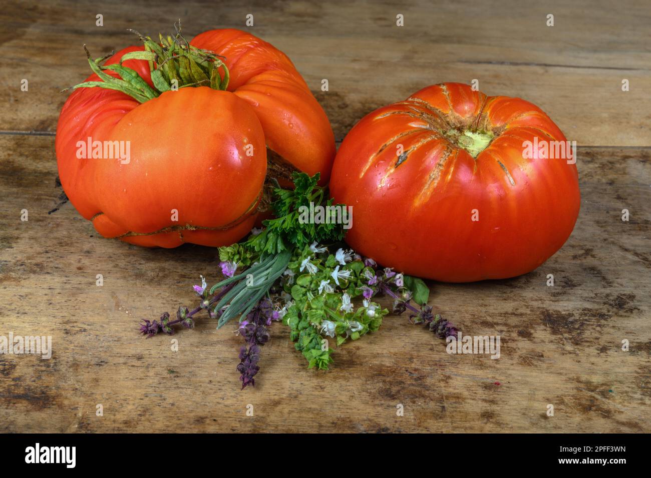 Ancient tomatoes vari?ty and aromatic herbs on old wooden background in ...