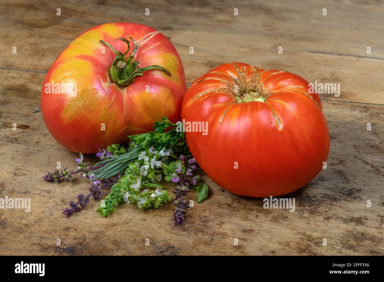 Ancient tomatoes vari?ty and aromatic herbs on old wooden background in ...