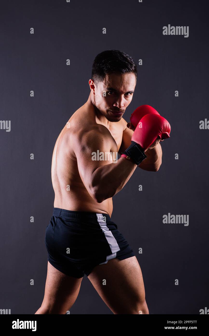 Muscular model sports young man in a boxing gloves on grey background ...